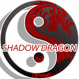 Virtual Trucking Company - Bijex — TruckersMP