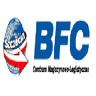 Virtual Trucking Company - BFC Poland (Szczecin) Transport&Logistics ...