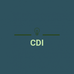 Virtual Trucking Company - CDI TRANSPORT — TruckersMP