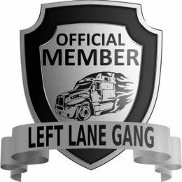 Virtual Trucking Company - Left Lane Logistics — TruckersMP