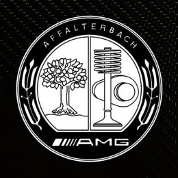 Virtual Trucking Company - AMG Power — TruckersMP