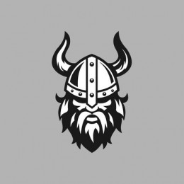 Virtual Trucking Company - Viking Freight Co. — TruckersMP
