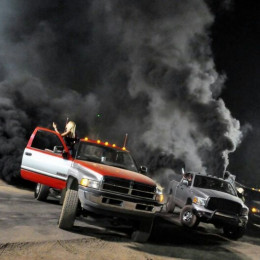 Virtual Trucking Company - Diesel Dogs Trucking — TruckersMP