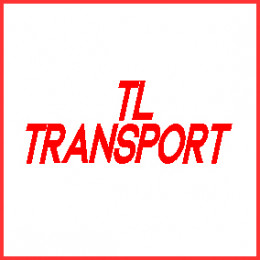 Virtual Trucking Company - TL Transport — TruckersMP