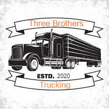 Virtual Trucking Company - Three Brothers Trucking — TruckersMP
