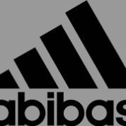 Virtual Trucking Company - Abibas — TruckersMP