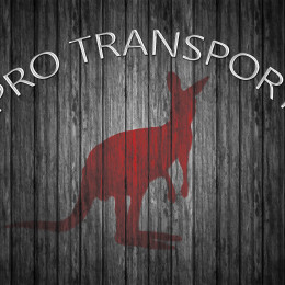 Virtual Trucking Company - Pro Transport — TruckersMP
