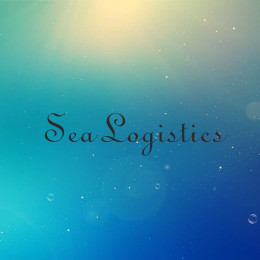 Virtual Trucking Company - SEA Logistics — TruckersMP