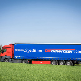 Virtual Trucking Company - Spedition - Gollwitzer — TruckersMP