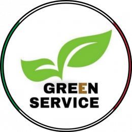 Virtual Trucking Company - Green Service — TruckersMP
