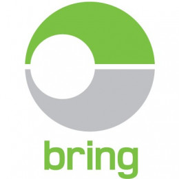 Virtual Trucking Company - Bring Logistics EU — TruckersMP