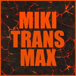 Virtual Trucking Company - Trans Max — TruckersMP