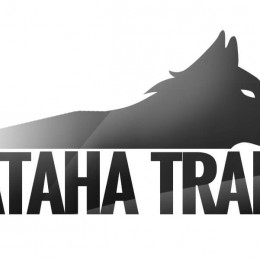 Virtual Trucking Company - WATAHA TRANS — TruckersMP