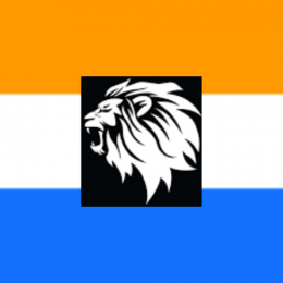 Virtual Trucking Company - Dutchy Transport Bedrijf — TruckersMP