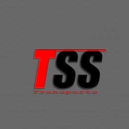 Virtual Trucking Company - TSS Transports — TruckersMP