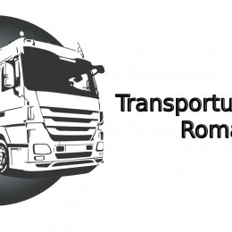 Virtual Trucking Company - Transporturi Rutiere Române — TruckersMP