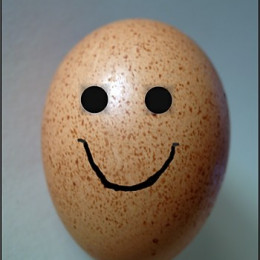 Virtual Trucking Company - Jajco spółka z o.o. — TruckersMP