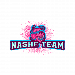 Virtual Trucking Company - NASHE TEAM — TruckersMP