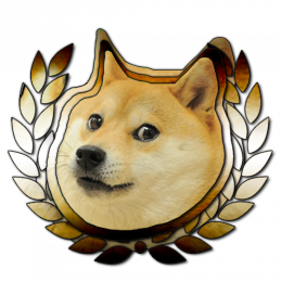 Virtual Trucking Company - Doge Team Transport — TruckersMP