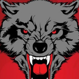 Virtual Trucking Company - Wolves Trucking Inc. — TruckersMP