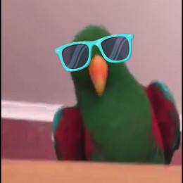 Virtual Trucking Company - Grafu logistika — TruckersMP