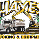 Virtual Trucking Company - Hayes Trucking — TruckersMP