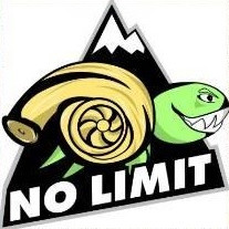 Virtual Trucking Company - no limit — TruckersMP