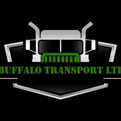 Virtual Trucking Company - Buffalo Transport & Trucking Co. — TruckersMP