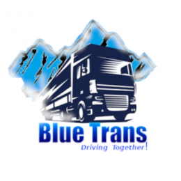 Virtual Trucking Company - BLUE Trans 2020 — TruckersMP