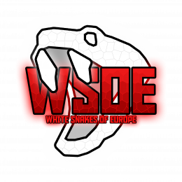 Virtual Trucking Company - WSOE-Logistik — TruckersMP