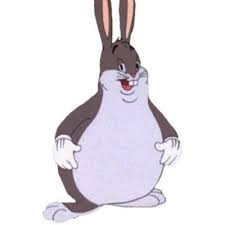 Virtual Trucking Company - Lil' Chungus Inc. — TruckersMP