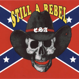 Virtual Trucking Company - Southern Rebels Hauling — TruckersMP