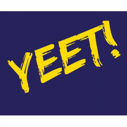 Virtual Trucking Company - YEET FREIGHT — TruckersMP