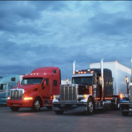 Virtual Trucking Company - Long Haul Logistics — TruckersMP