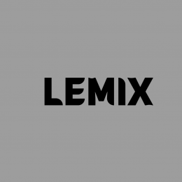 Virtual Trucking Company - Lemix Express — TruckersMP