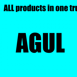 Virtual Trucking Company - AGUL International — TruckersMP