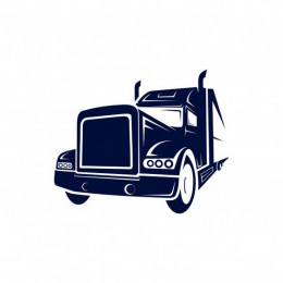 Virtual Trucking Company - Step Brothers Trucking LLC — TruckersMP