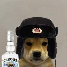 Virtual Trucking Company - Tfuj-Stary-Trans — TruckersMP