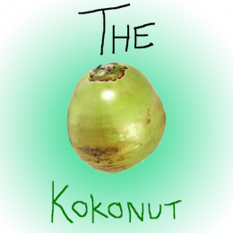 Virtual Trucking Company - KoKoNut Co — TruckersMP