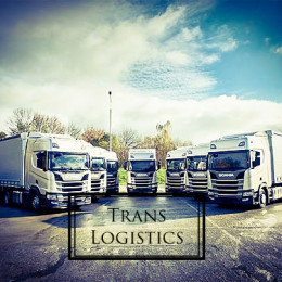 Virtual Trucking Company - Trans Logistic — TruckersMP