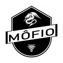Virtual Trucking Company - Môfio Express — TruckersMP