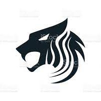 Virtual Trucking Company - Strong Trans — TruckersMP