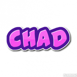 Virtual Trucking Company - Chad Transport — TruckersMP