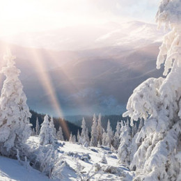 Virtual Trucking Company - FIN logistics — TruckersMP