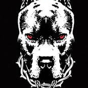 Virtual Trucking Company - DOG_ZA — TruckersMP