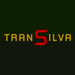 Virtual Trucking Company - TRANSILVA — TruckersMP