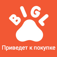 Virtual Trucking Company - Bigl — TruckersMP