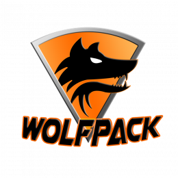 Virtual Trucking Company - Wolfpack Logistics — TruckersMP