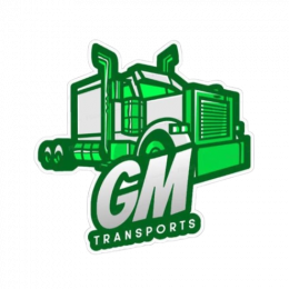 Virtual Trucking Company - TRANSPORTES GM — TruckersMP