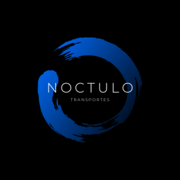 Virtual Trucking Company - NOCTULO — TruckersMP